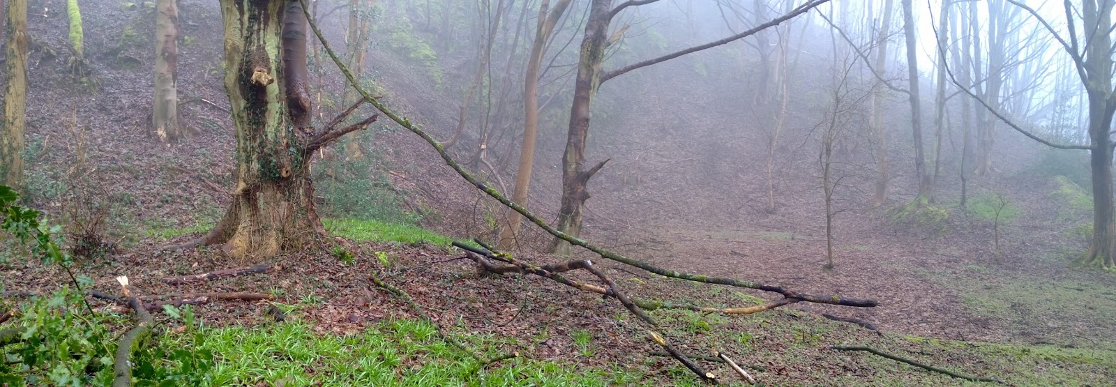 Something Beautiful Everyday: West of England Quarry, Malvern ...